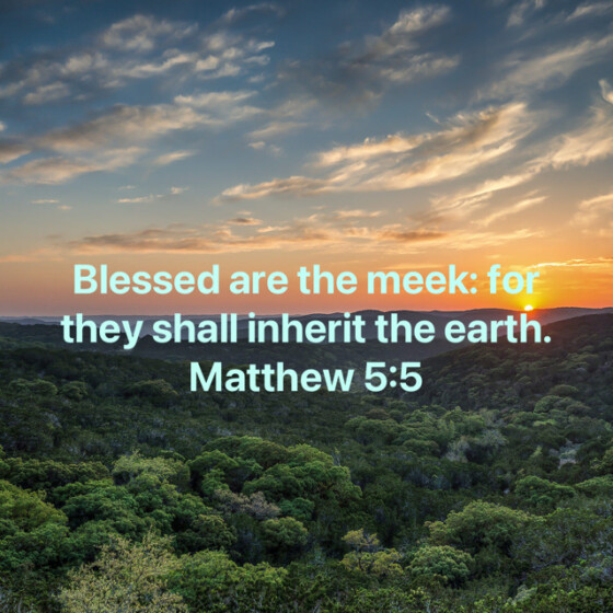 Bible Study: Meekness - The Open Door Blog